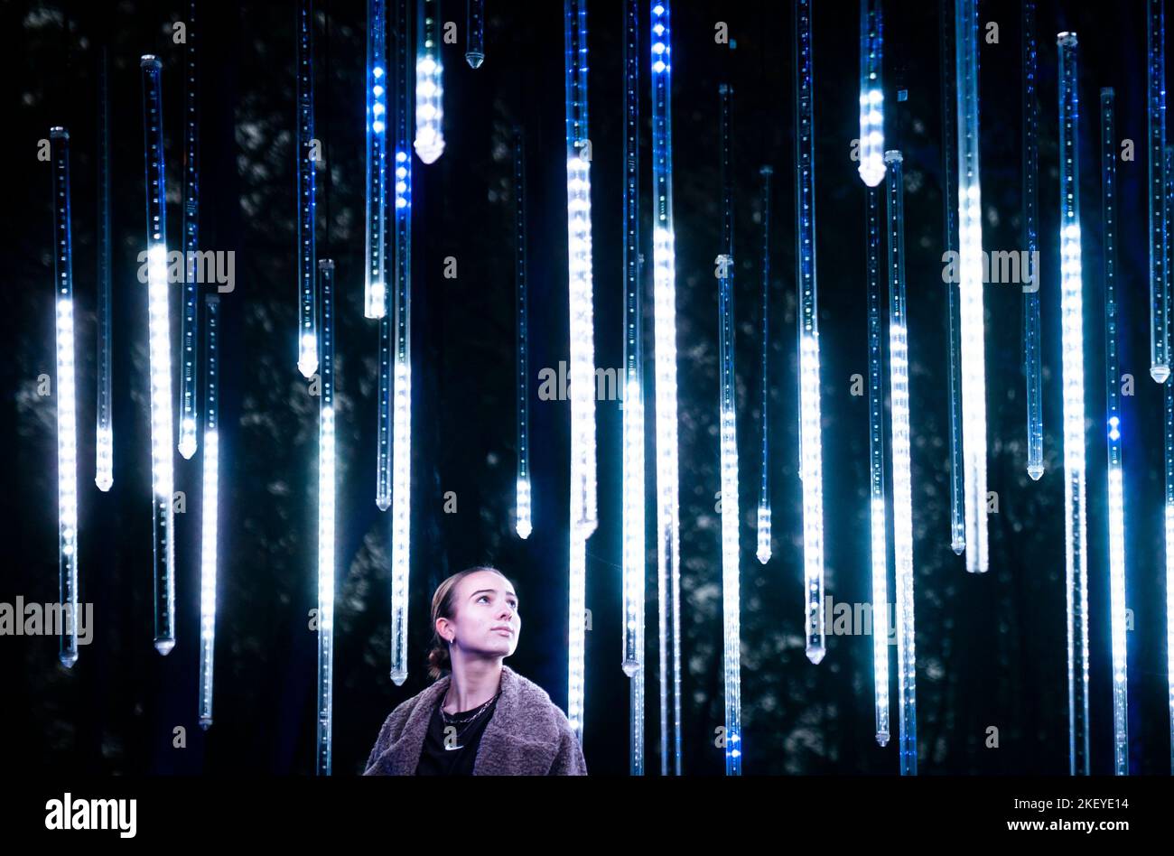Poppy Wood looks at an installation that forms part of the Enchanted ...