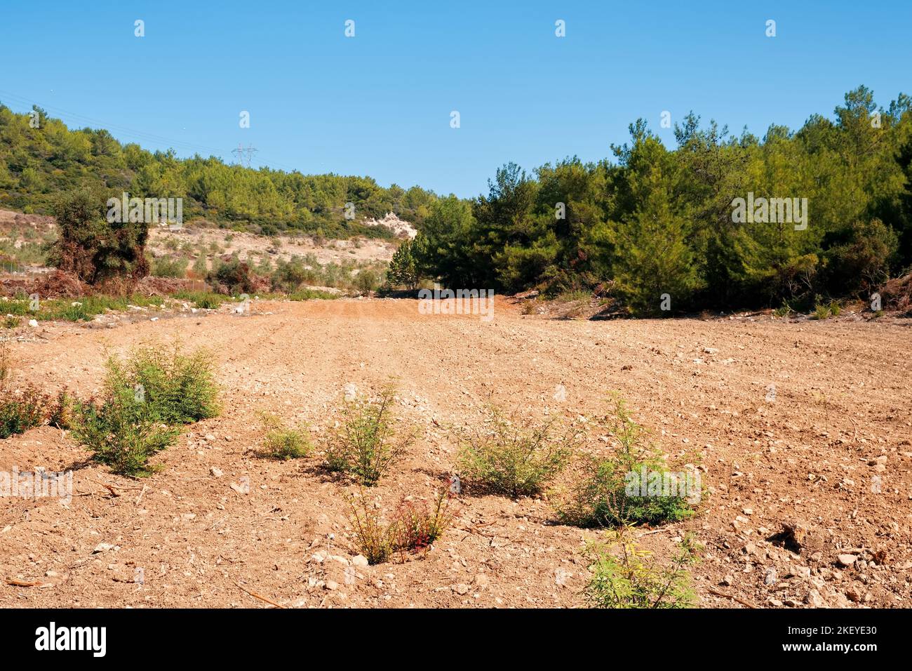 Rural scenery empty field hi-res stock photography and images - Alamy