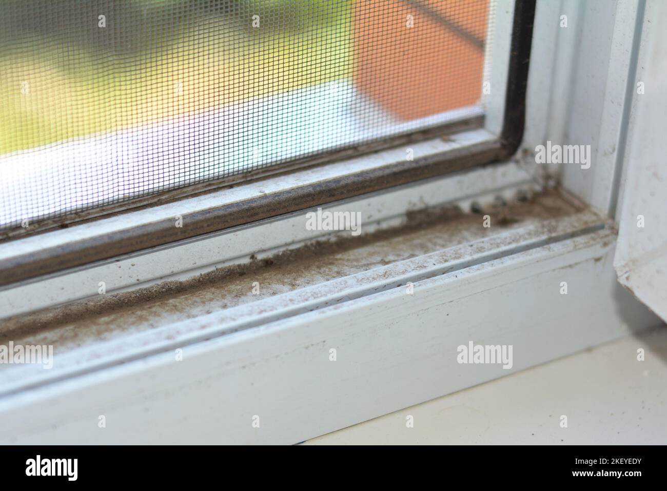 A view from inside the house of a dusty window. A dirty uPVC window ...