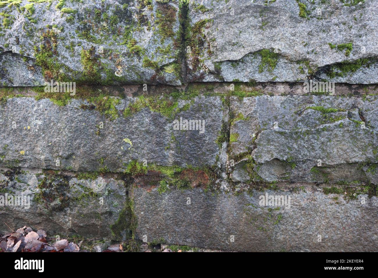 Stone rampart and moss wallpaper Stock Photo - Alamy