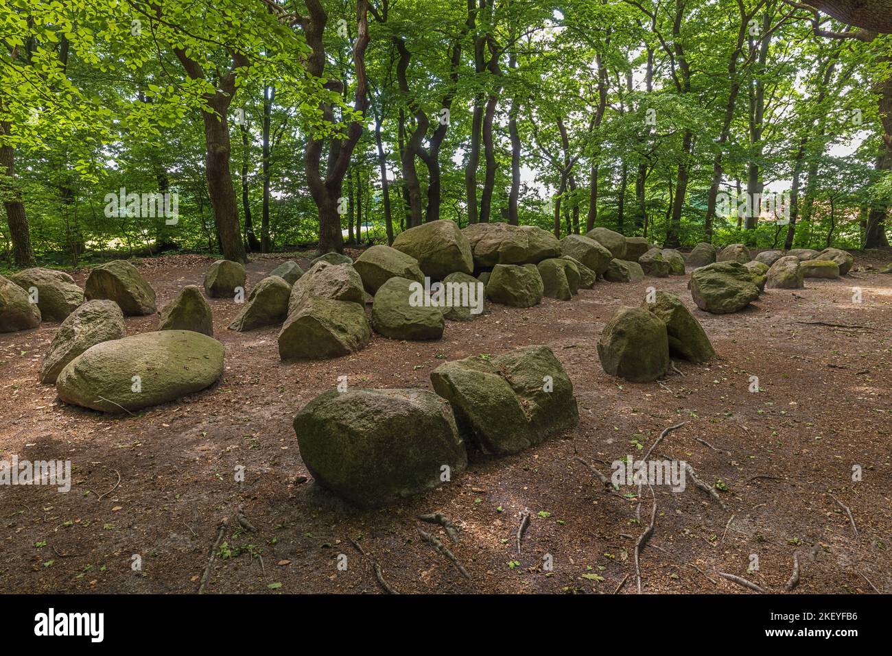Side view of the grave chamber on Dolmen site 17 known as the Volbers ...