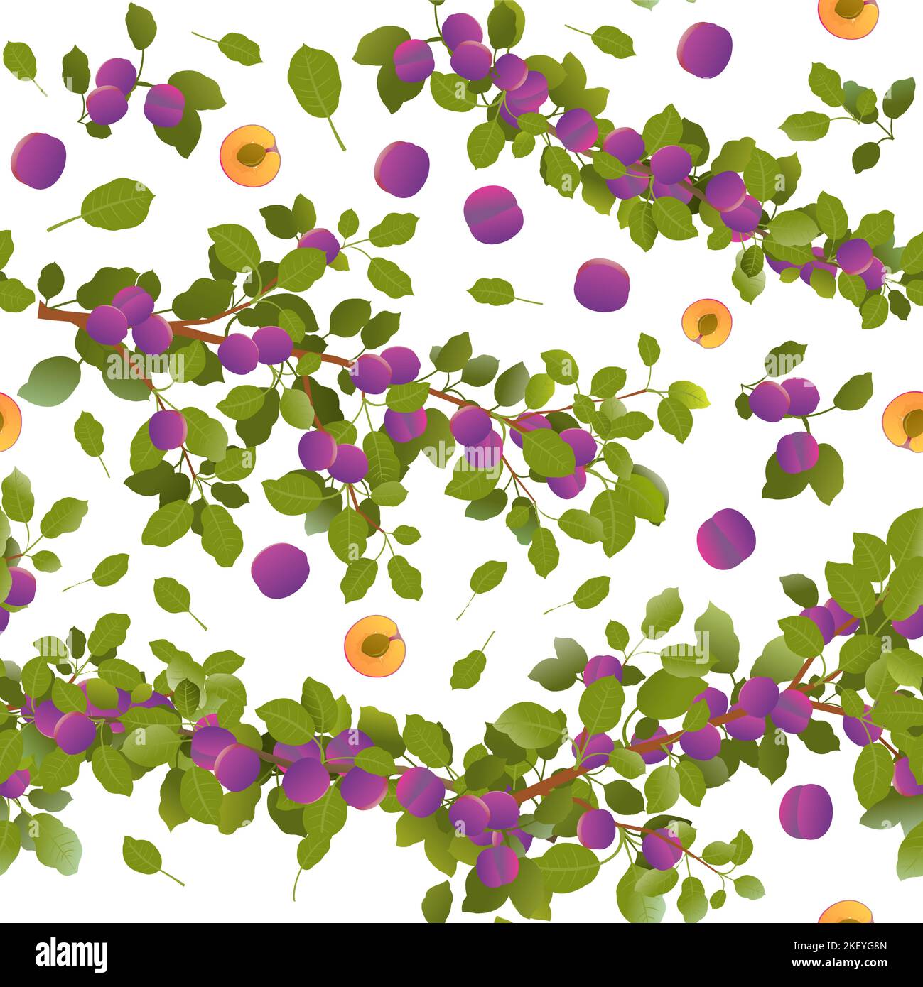 Branches overgrown plum with ripe fruits. Garden plant with edible ...