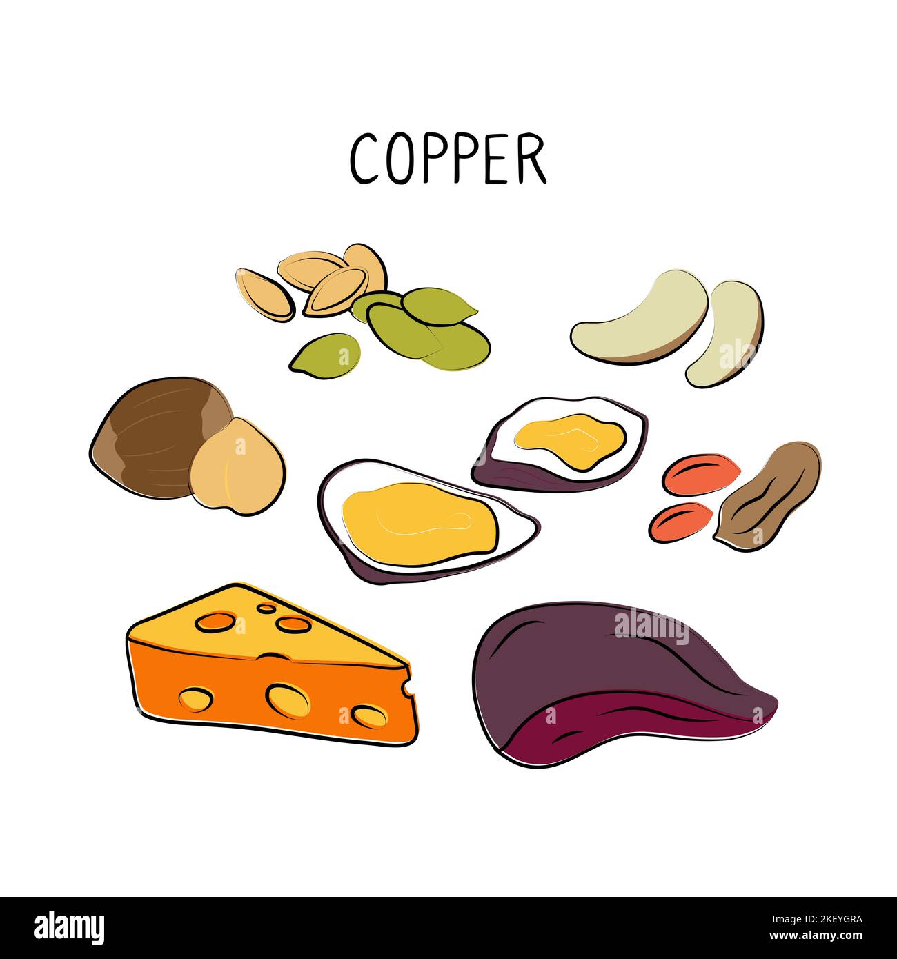 Copper-containing food. Groups of healthy products containing vitamins ...