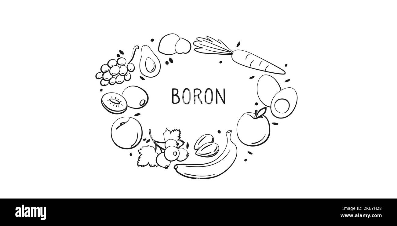 Boron-containing food. Groups of healthy products containing vitamins ...