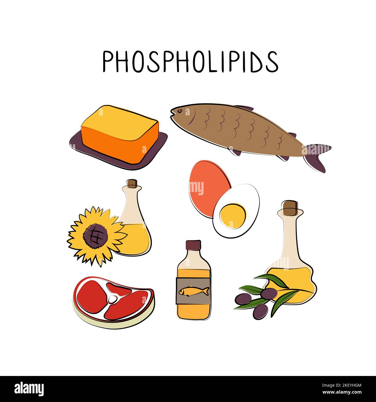 Phospholipids Containing Food Groups Of Healthy Products Containing Vitamins And Minerals Set