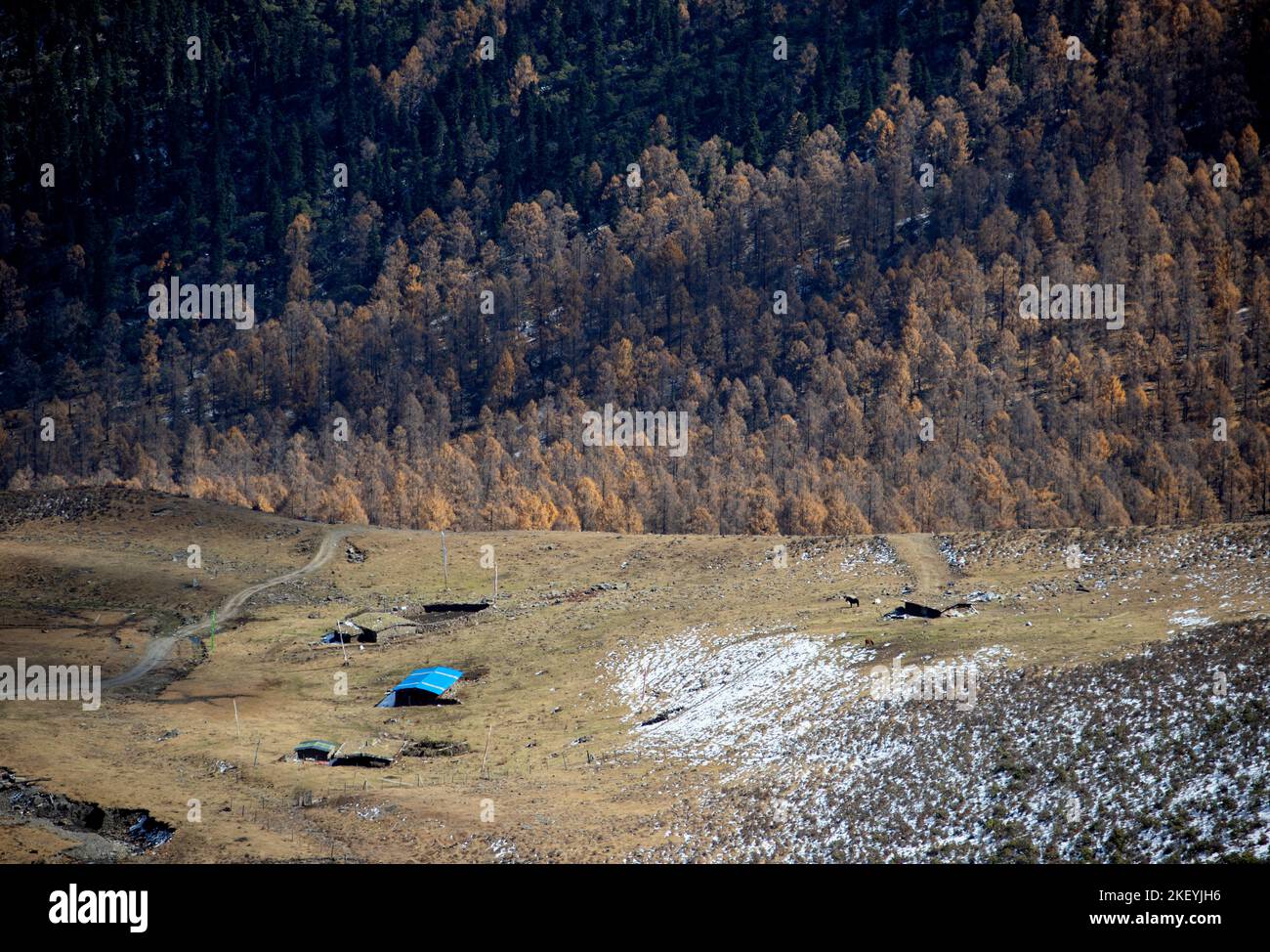 Aerial photo shows the scenery of Ake Snow Mountain in Jinchuan County ...