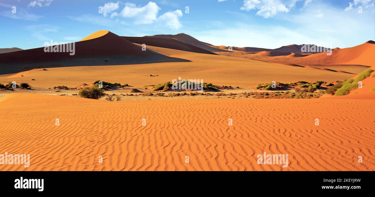 Sand Dunes in Namib Desert with natural sand ripples and shadows ...