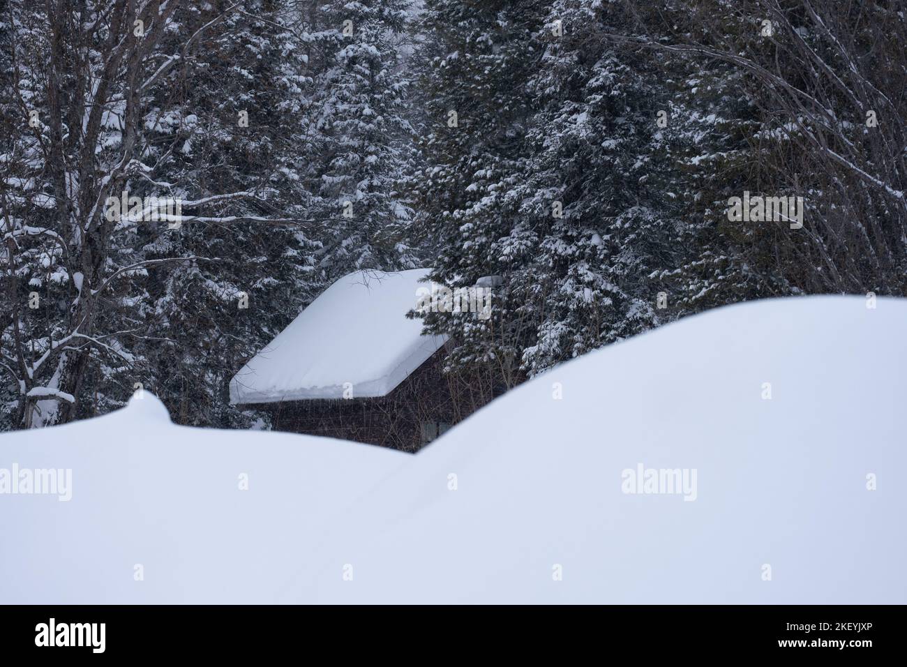 Snowy day . Winter , heavy snowfall, silence in the village. High ...