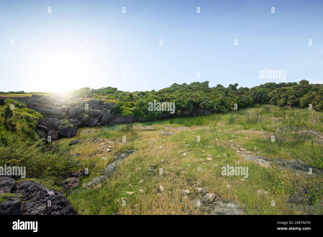 Meadow field with a blue sky background Stock Photo - Alamy