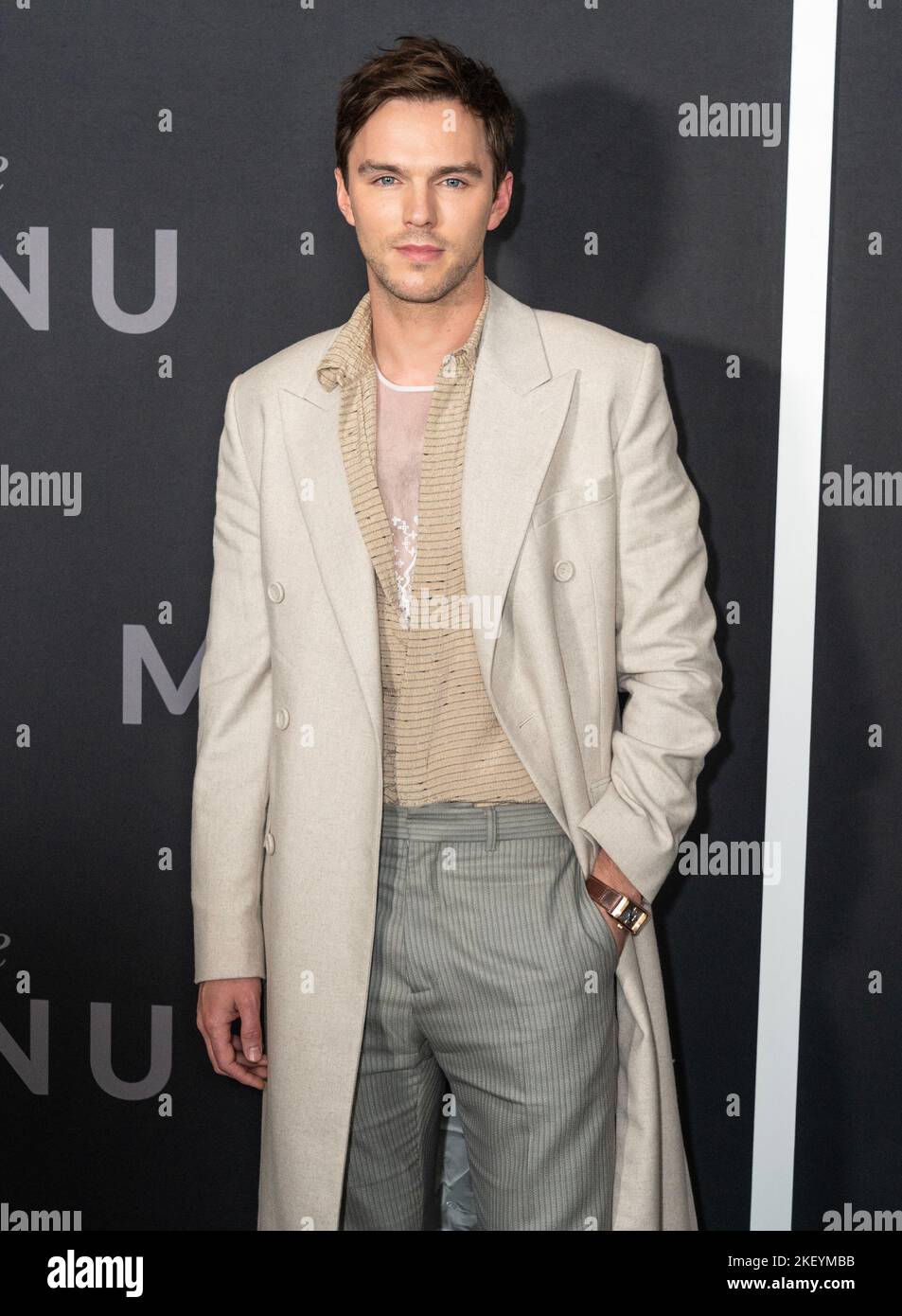 New York. USA, November 14, 2022. Nicholas Hoult attends premiere of ...