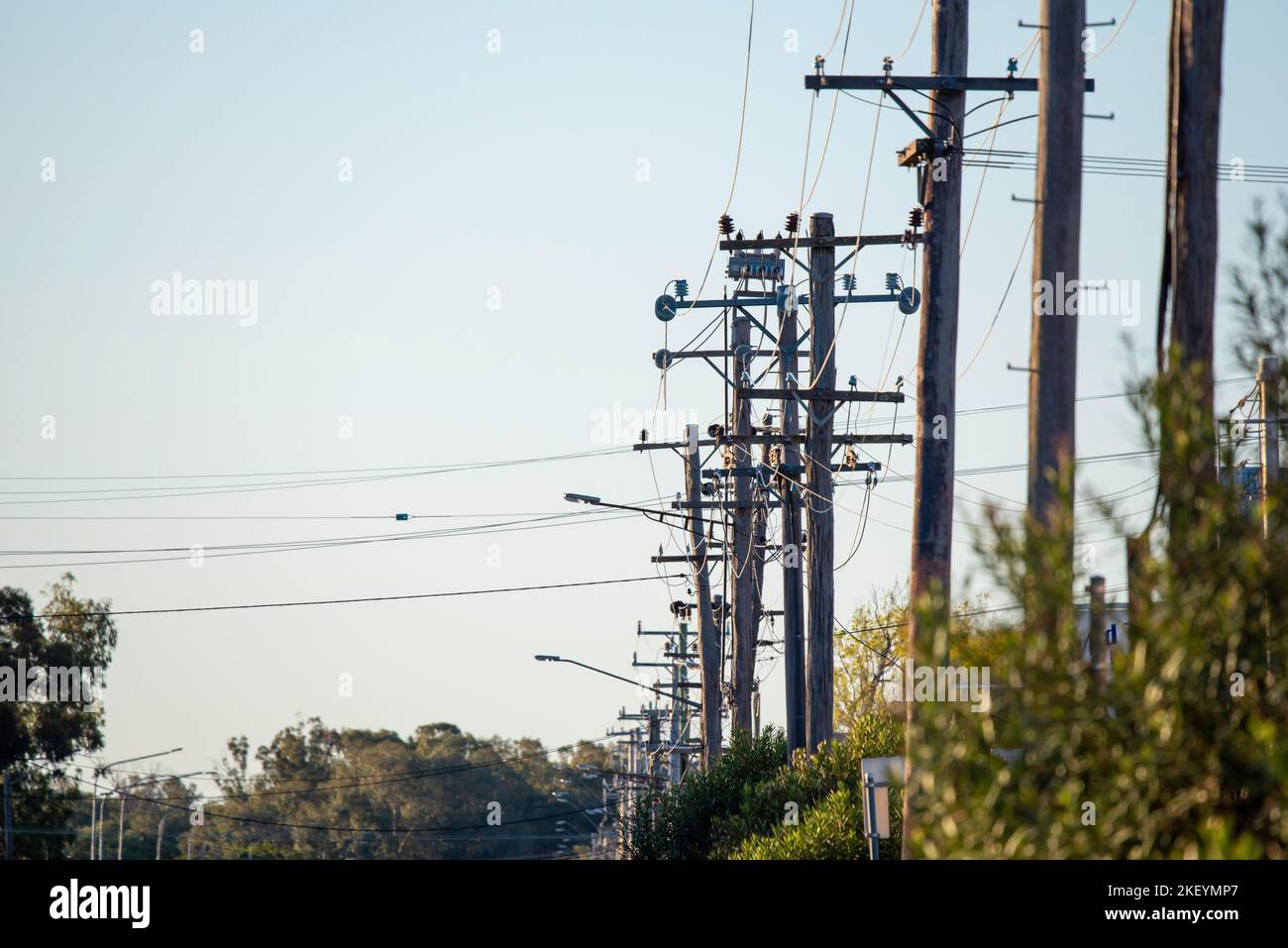 A row or line of electricity power lines and timber power poles near Narrabri in New South Wales ...