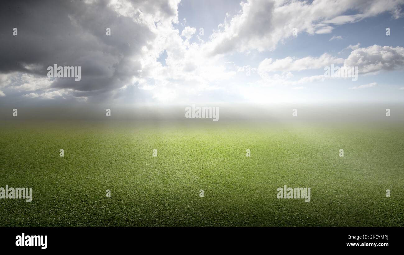Grass inside the football stadium Stock Photo - Alamy