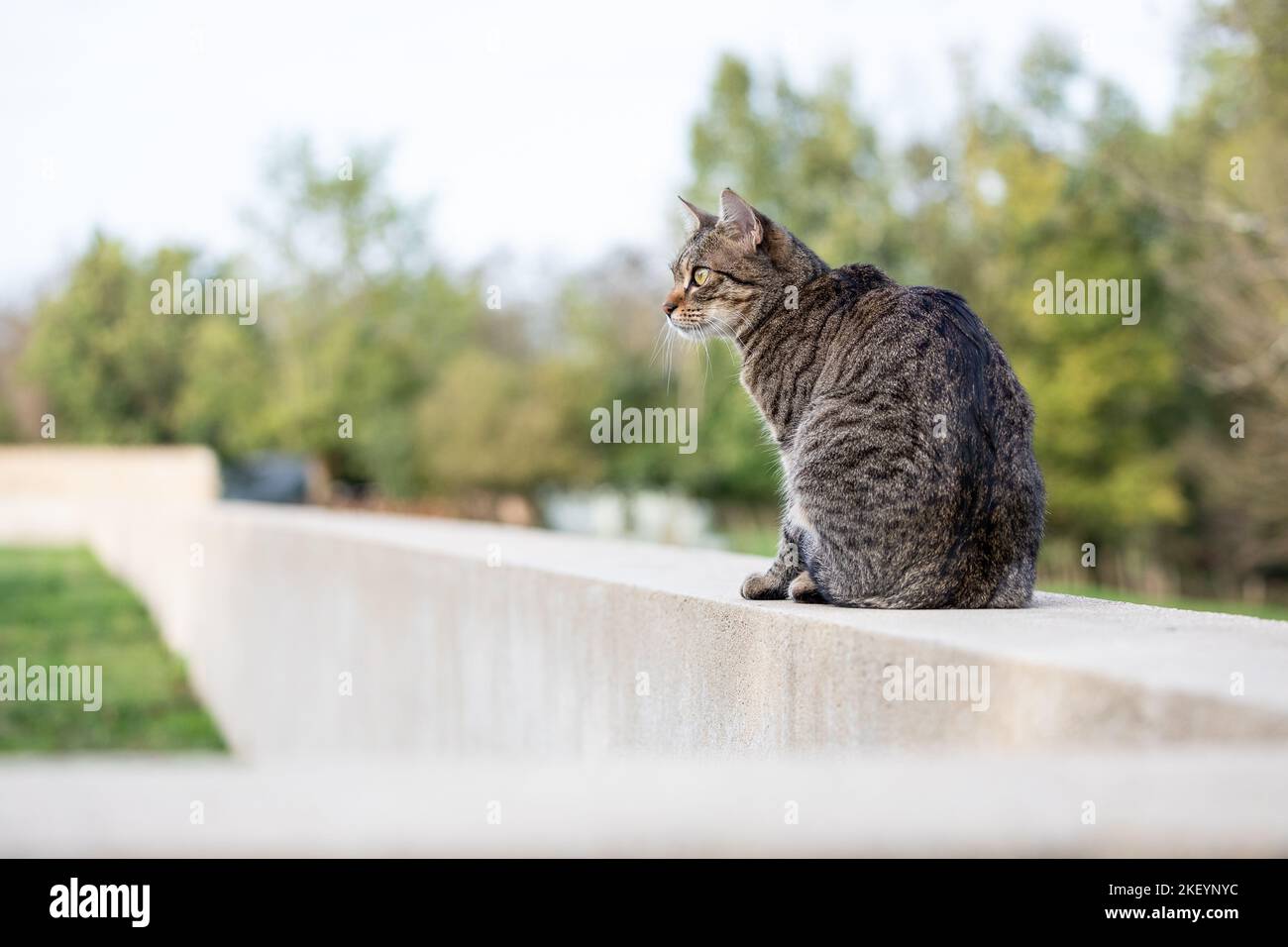 On low wall hi-res stock photography and images - Alamy