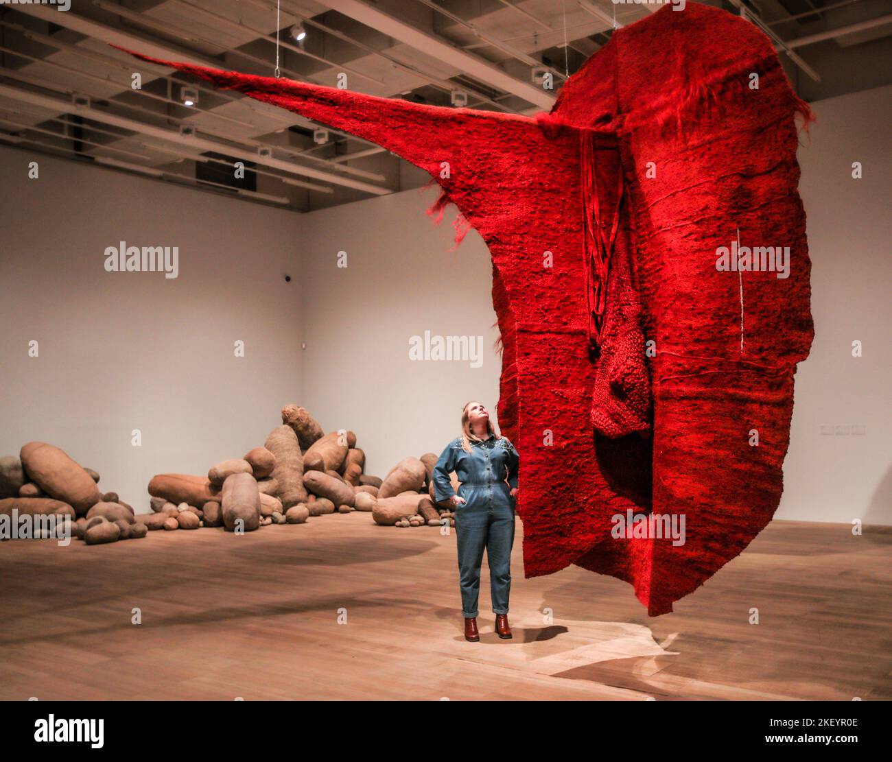 London UK 15 November 2022 Abakan Red foreground , Embryology ...