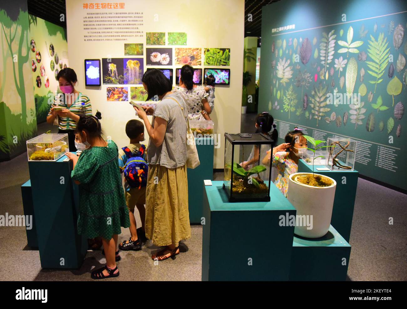 Visitors are watching the exhibits at the Xishuangbanna Tropical ...
