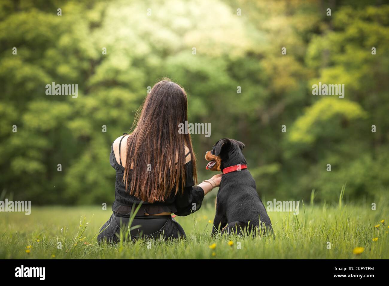 Young people's forest hi-res stock photography and images - Alamy