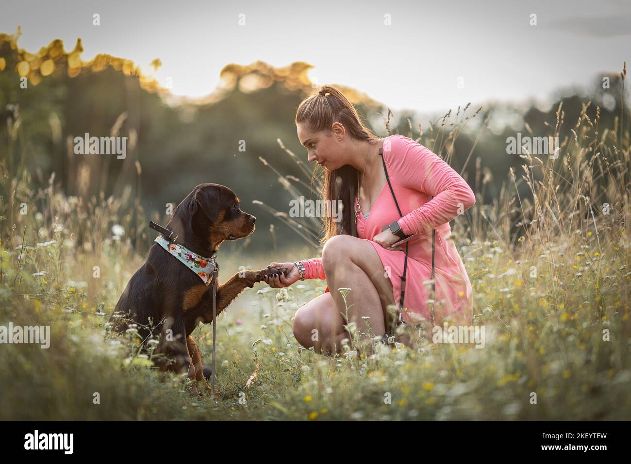 woman and young Rottweiler Stock Photo - Alamy