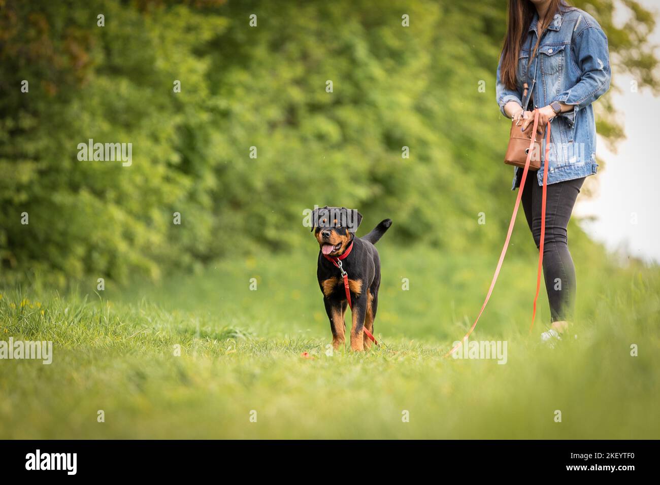 Young woman stands edge hi-res stock photography and images - Alamy