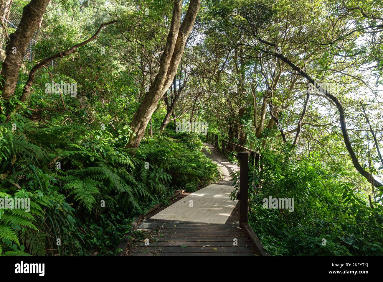The Curlew Camp Artists' Walk along the shore in Sydney Harbour ...