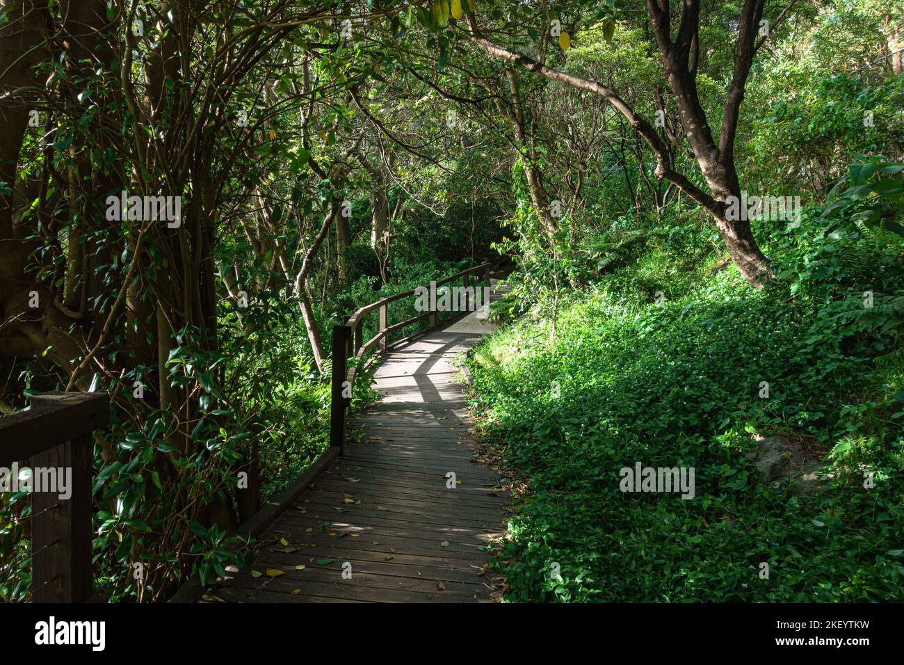 The Curlew Camp Artists' Walk along the shore in Sydney Harbour ...