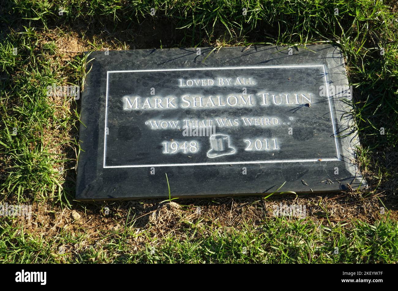 Los Angeles, California, USA 10th November 2022 Musician Mark Tulin's ...