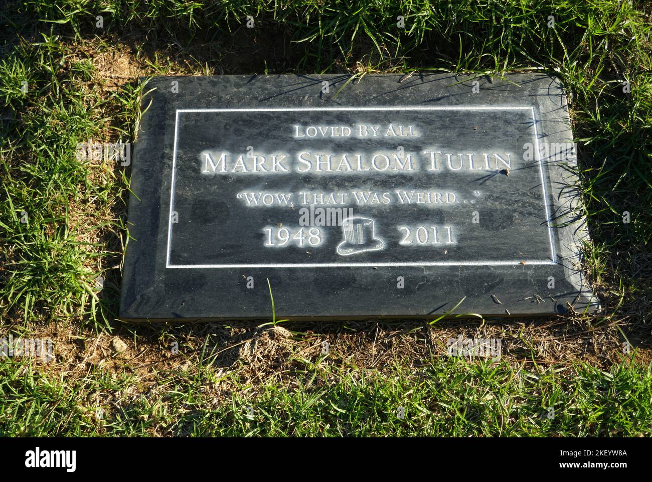 Los Angeles, California, USA 10th November 2022 Musician Mark Tulin's ...