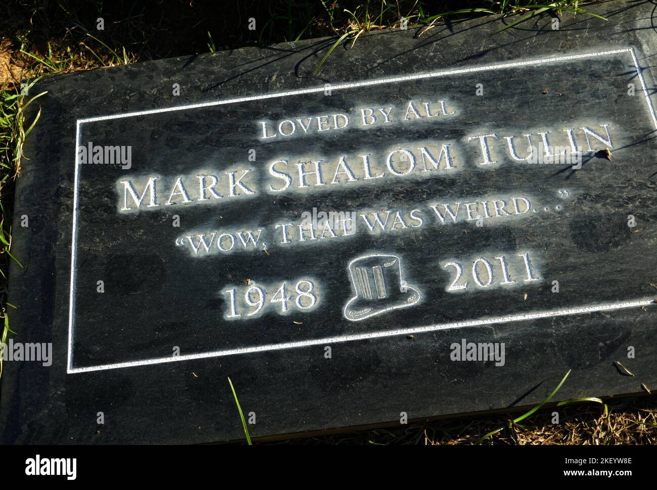 Los Angeles, California, USA 10th November 2022 Musician Mark Tulin's ...