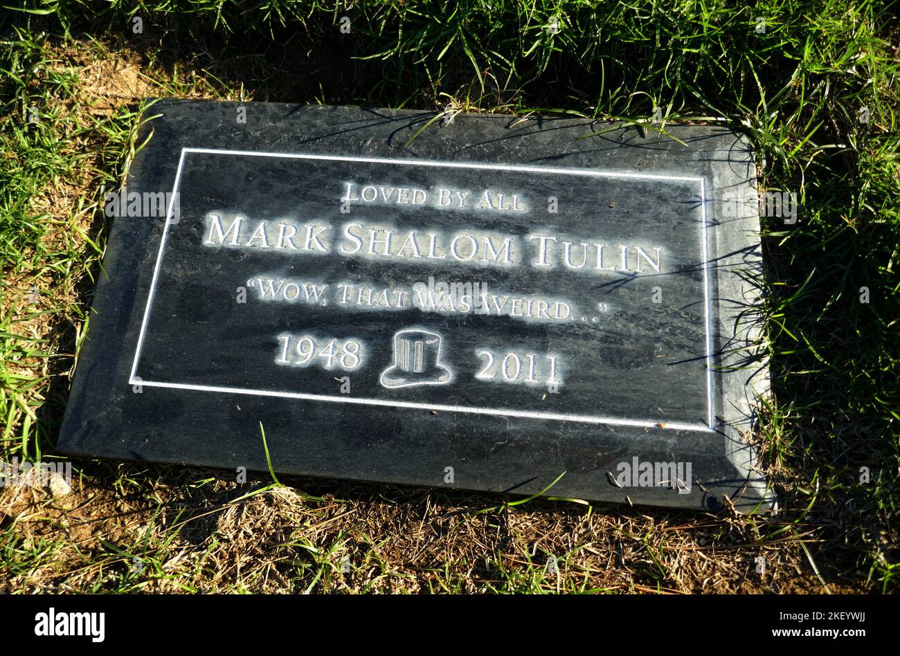 Los Angeles, California, USA 10th November 2022 Musician Mark Tulin's ...