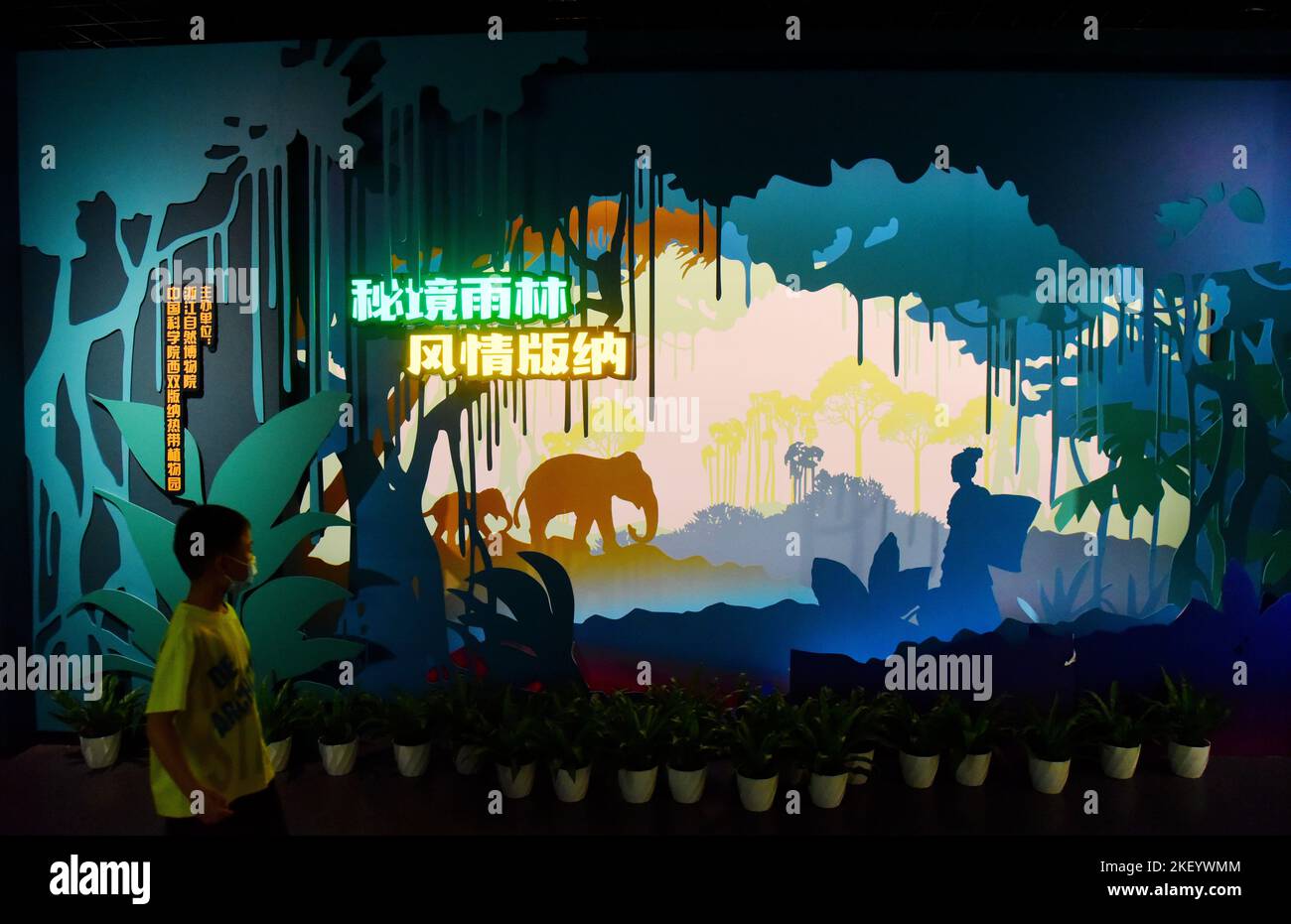 Visitors are watching the exhibits at the Xishuangbanna Tropical ...