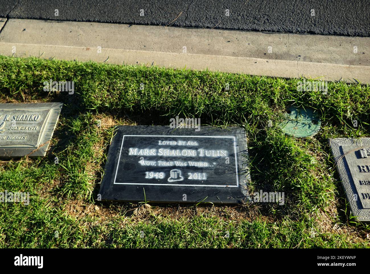 Los Angeles, California, USA 10th November 2022 Musician Mark Tulin's ...