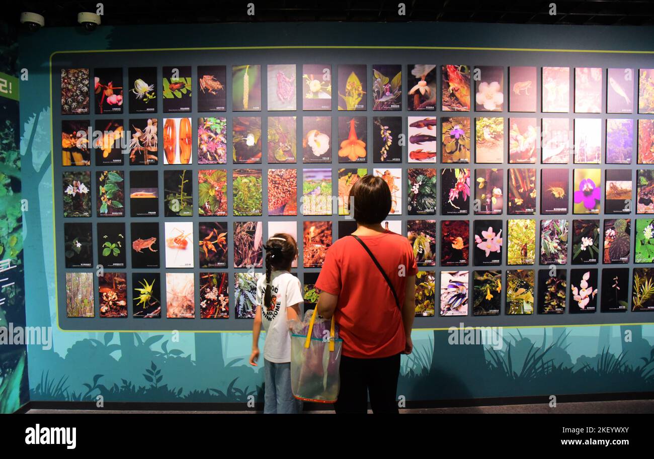 Visitors are watching the exhibits at the Xishuangbanna Tropical ...