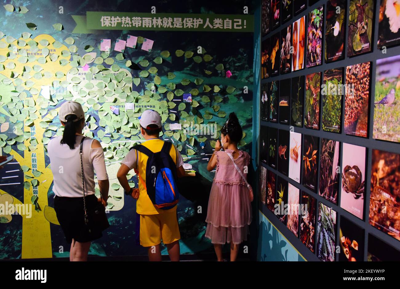 Visitors are watching the exhibits at the Xishuangbanna Tropical ...