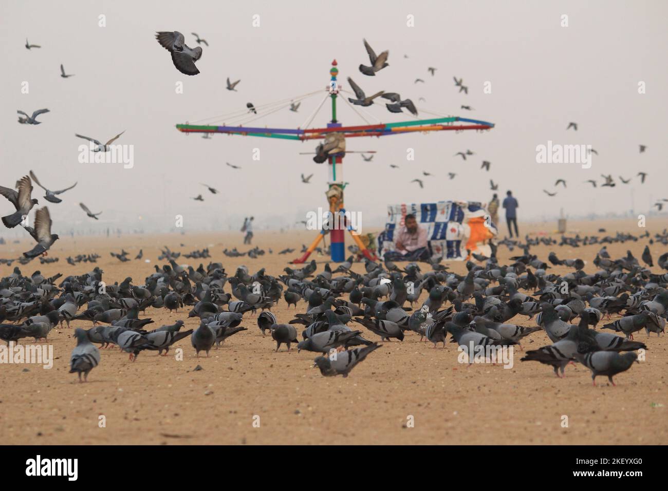 Dove flying hi-res stock photography and images - Alamy