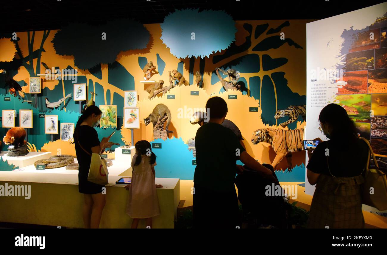 Visitors are watching the exhibits at the Xishuangbanna Tropical ...