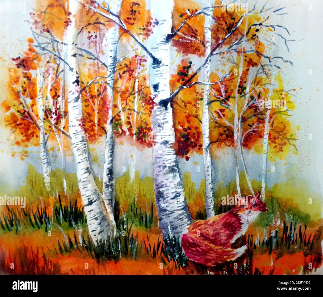 Fox animal with birch trees hi-res stock photography and images - Alamy