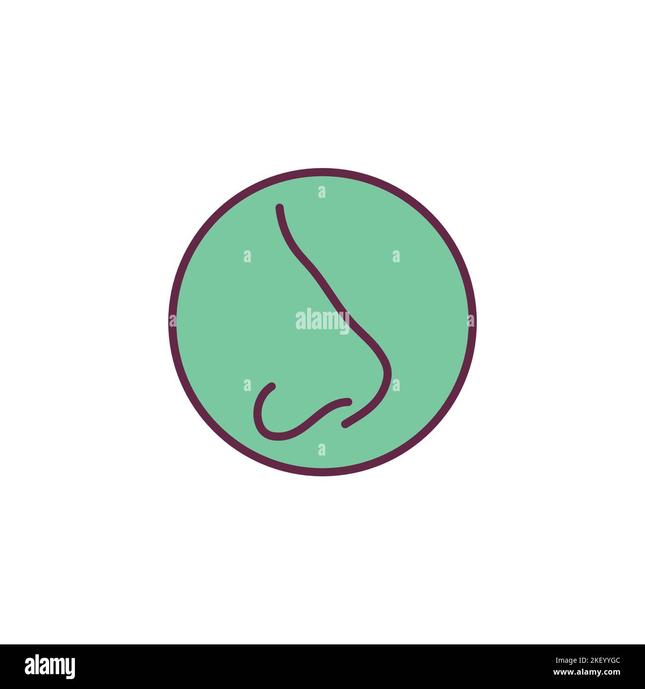 Nose color line icon. Sense of smell. Human organ Stock Vector Image ...