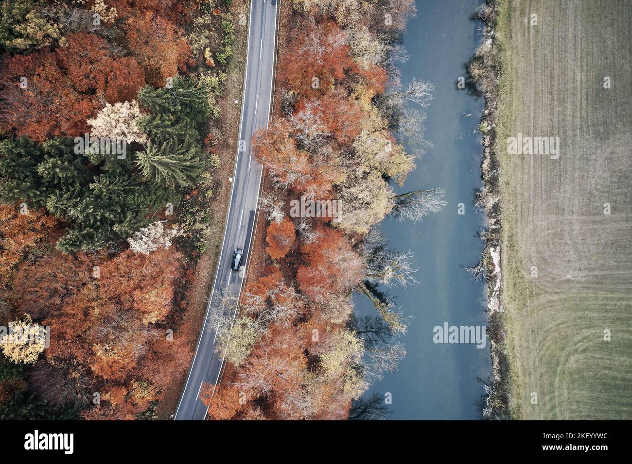 Aerial view of forest beside a river in beautiful autumn. Colorful ...