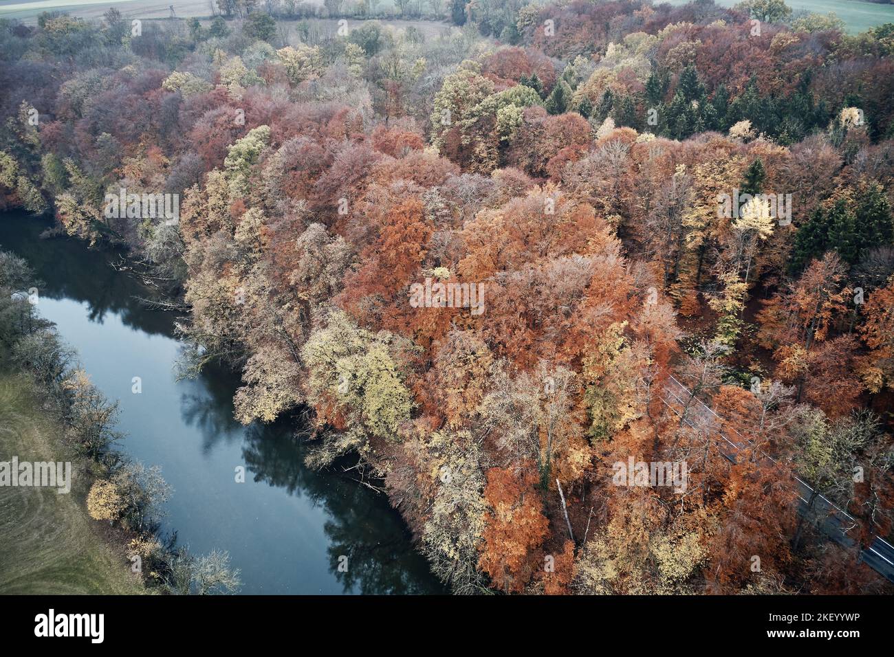 Aerial view of forest beside a river in beautiful autumn. Colorful ...