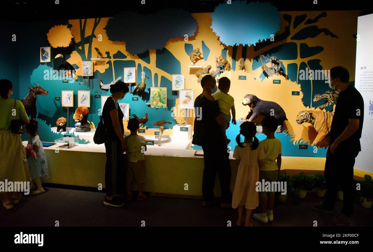 Visitors are watching the exhibits at the Xishuangbanna Tropical ...