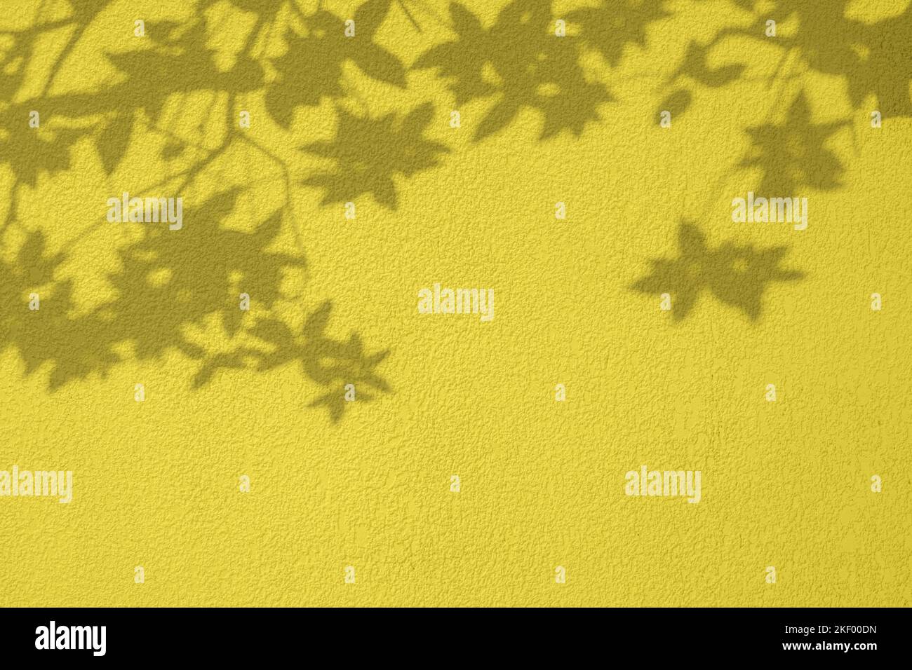 Plant leaves shadow on yellow concrete wall texture background Stock ...