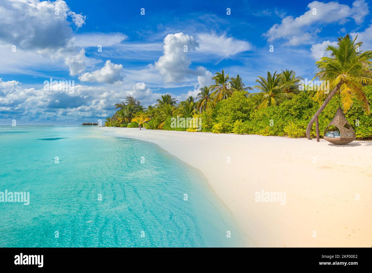Beautiful palm trees on tropical island beach blue sky with white ...