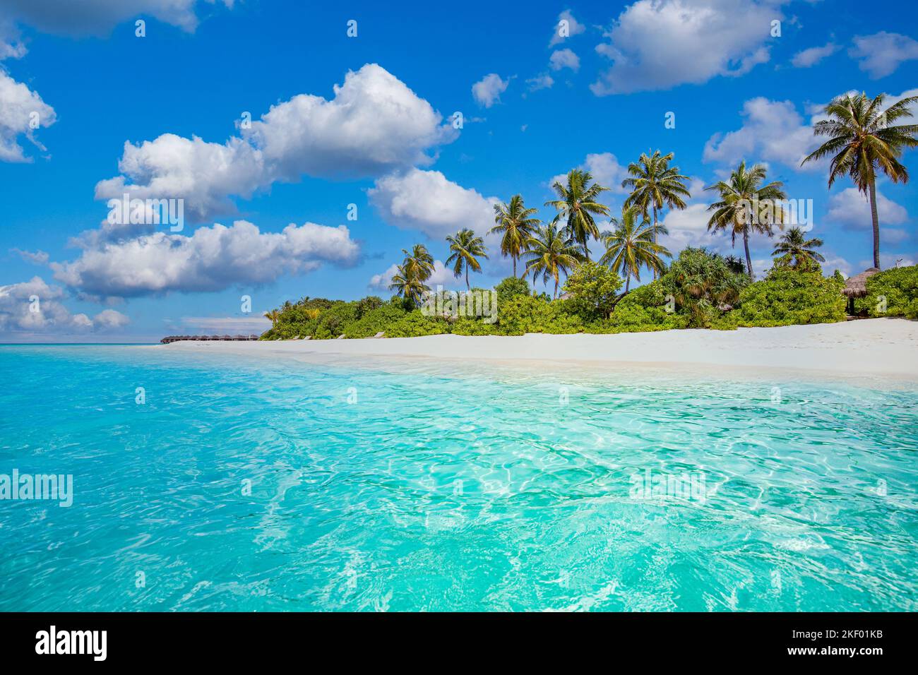 Beautiful palm trees on tropical island beach blue sky with white ...