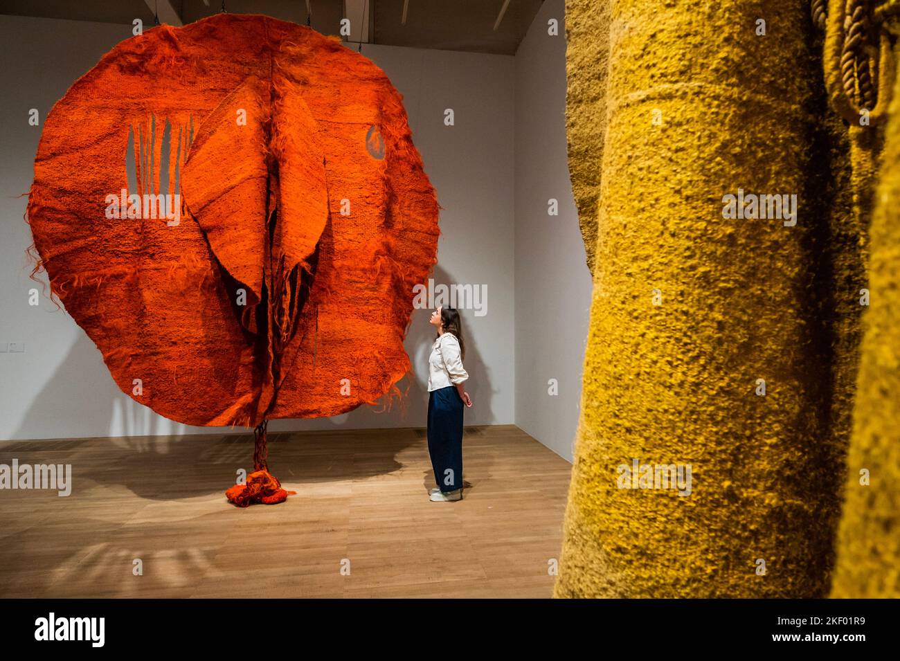 London, UK. 15th Nov, 2022. Abakan Orange with Abalan Yellow ...