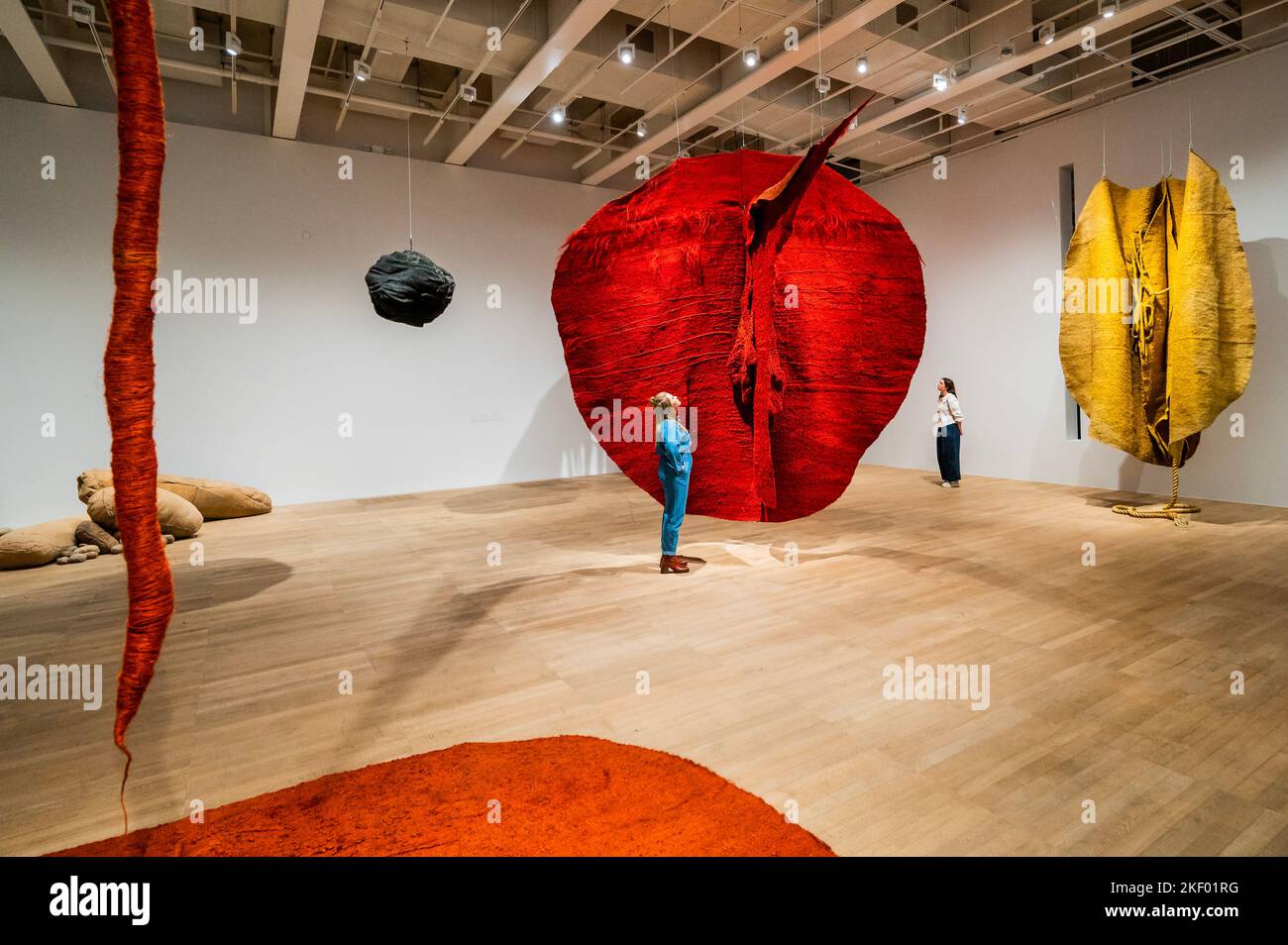 London, UK. 15th Nov, 2022. Abakan Red is the centrepiece of Petrified ...