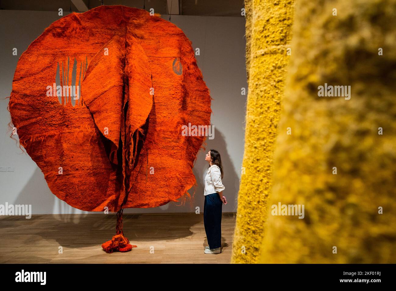 London, UK. 15th Nov, 2022. Abakan Orange with Abalan Yellow ...