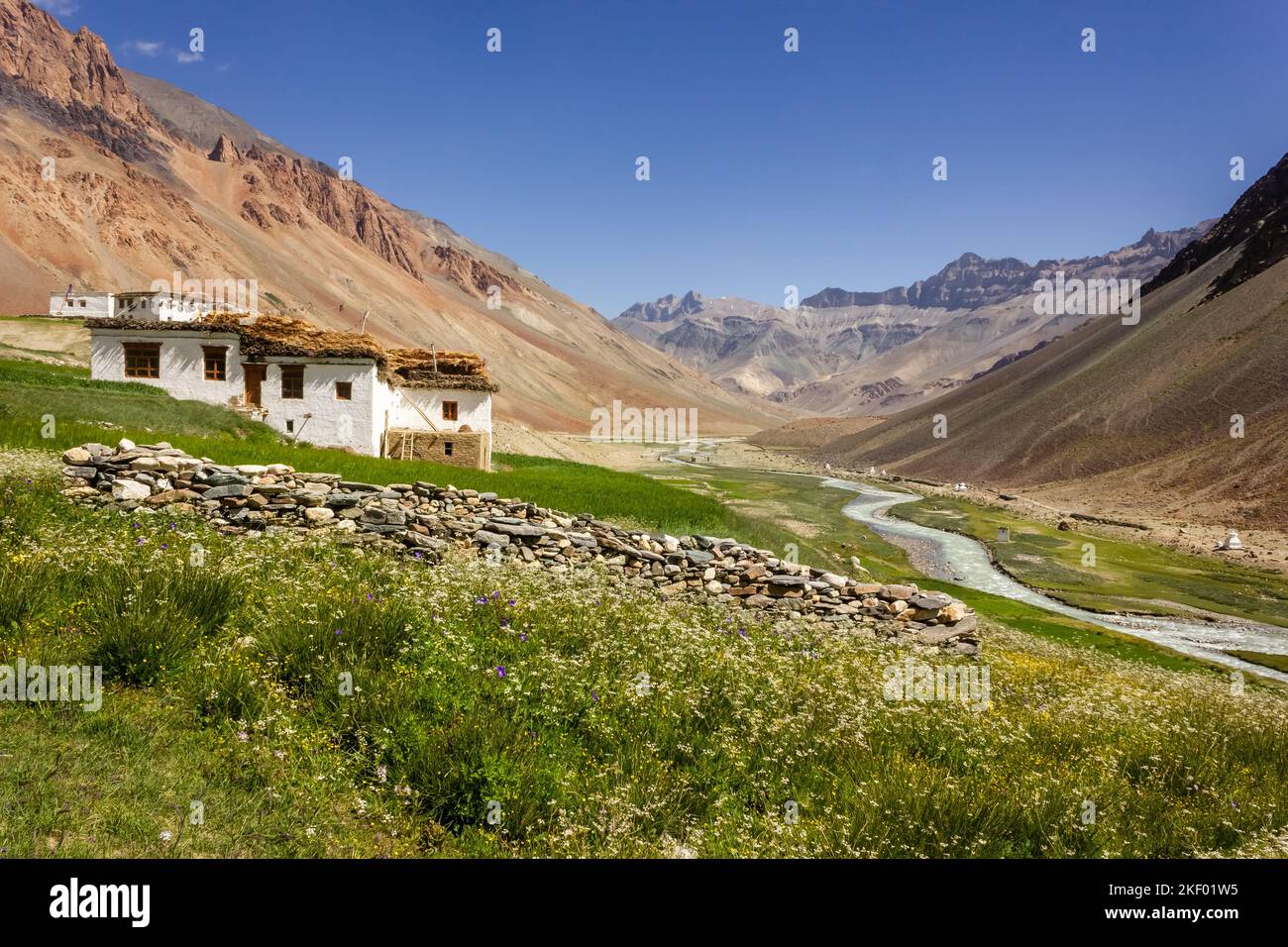 Beautiful landscape of a traditional Ladakhi house in a green Himalayan ...
