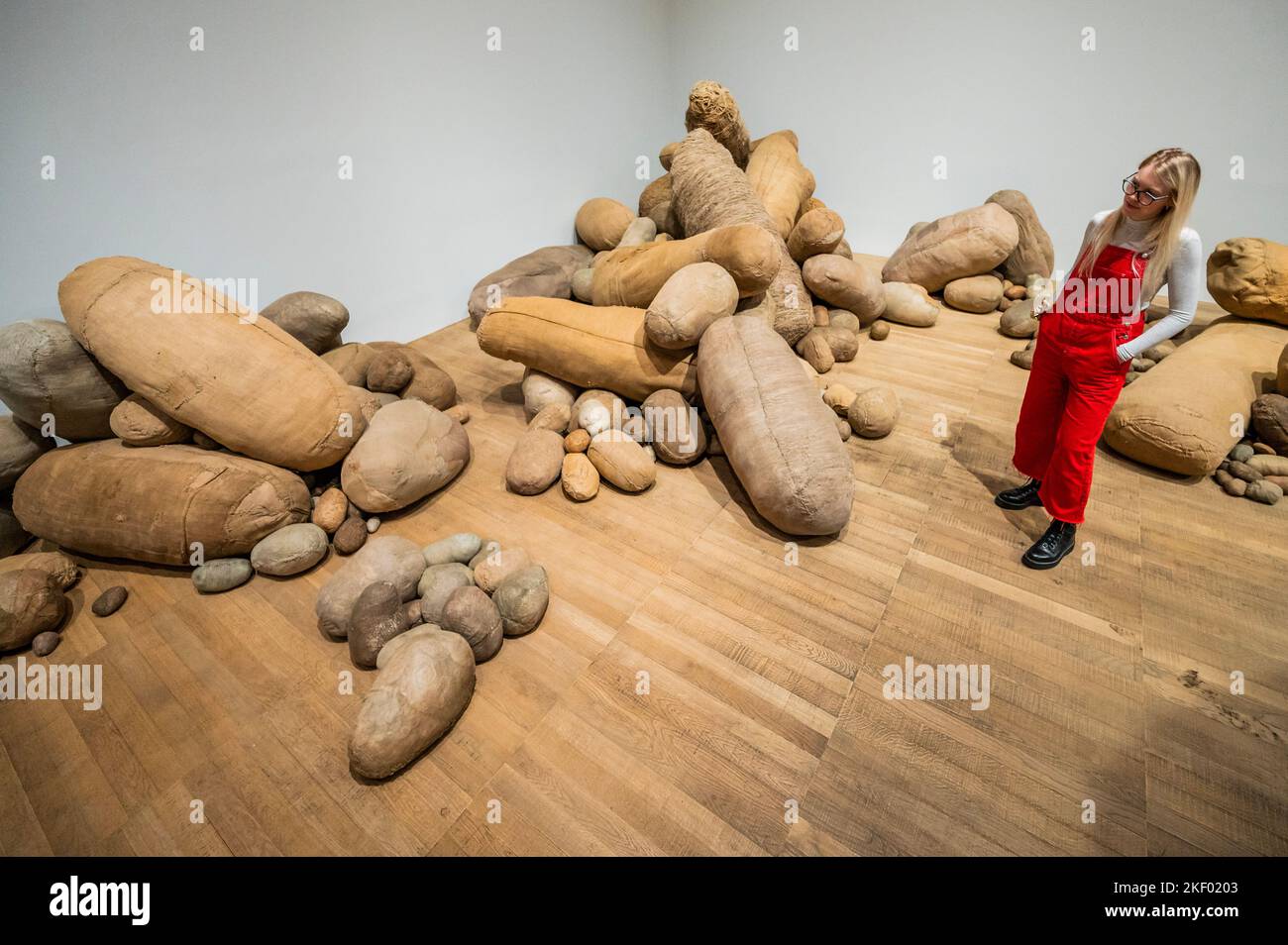 London, UK. 15th Nov, 2022. Embryology, part of Petrified Organism, a ...