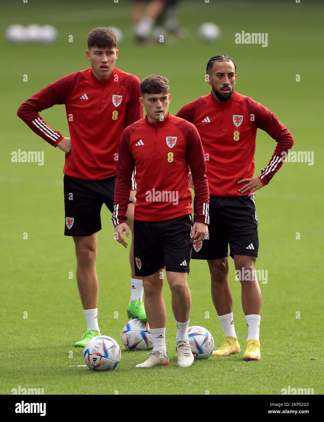 Rubin colwill cardiff city hi-res stock photography and images - Alamy