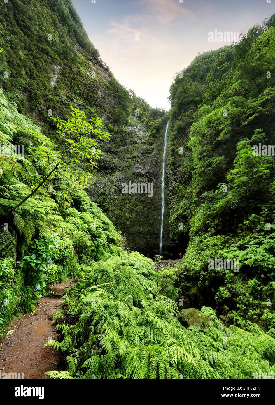 Madeira - Beautiful waterfall in the end of Levada Caldeirao Verde ...