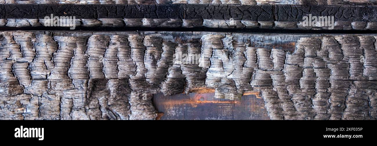 panorama banner structure pattern of black and gray fire burnt boards ...
